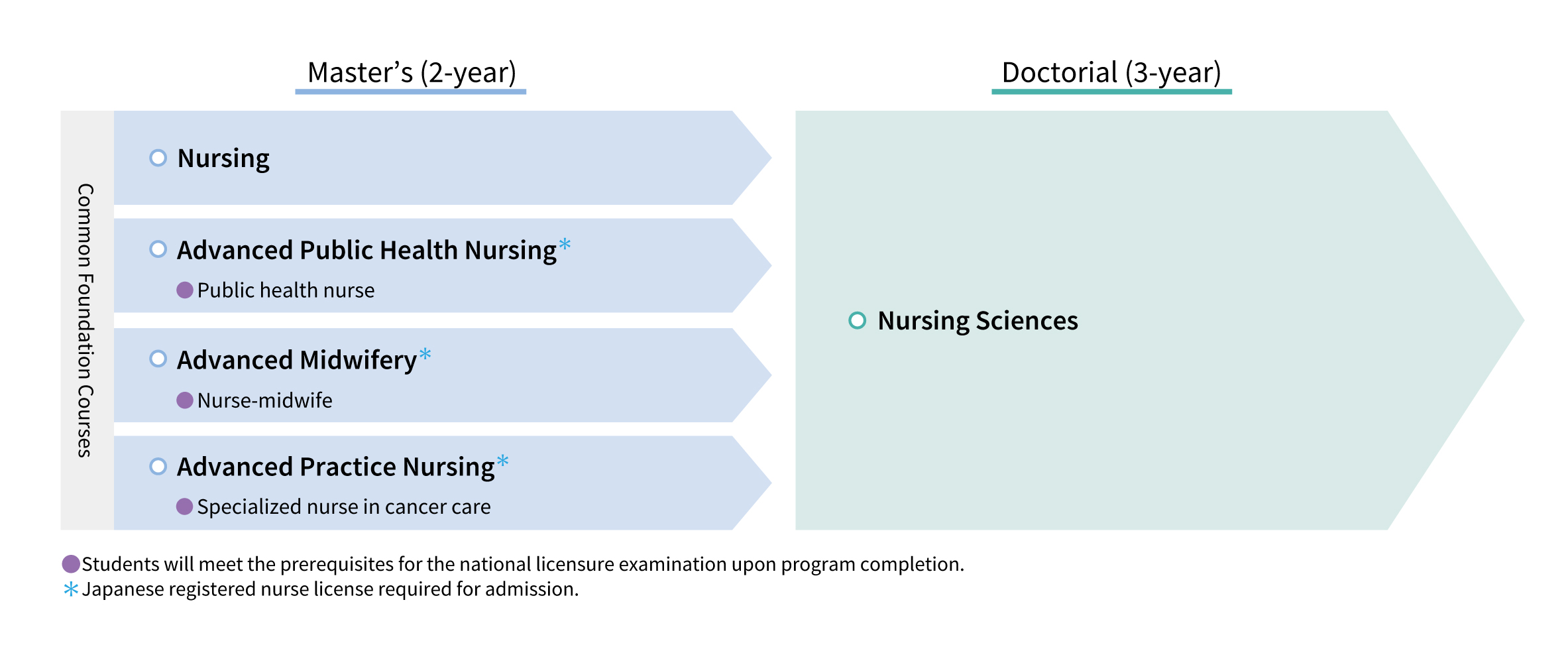 Nursing Degree Programs – Faculty of Health Sciences/Graduate School of ...